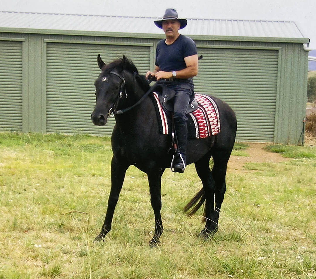 ASHS | Horses for Sale